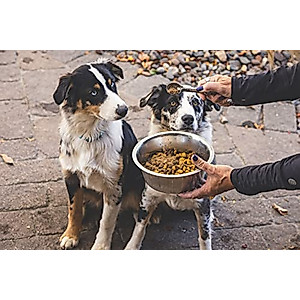 Omega Canine Shine, 2 Lb bag