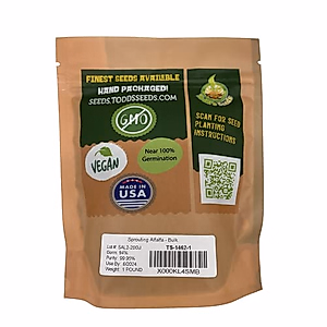 Todd’s Seeds - Alfalfa Sprouting Seeds - Easy to Grow Bulk Alfalfa Seeds - Fast Growing Seeds with High Sprout Germination (1/4 Pound)