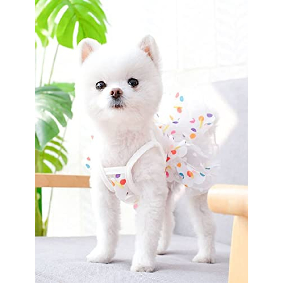 QWINEE Cute Polka Dot Mesh Cat Skirt Dog Dress Birthday Wedding Christmas Party Dog Costume Dresses for Kitty Puppy Small Medium Dogs Multicolor XL