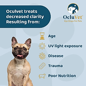 OcluVet Eye Drops for Pets | Clinically Studied Antioxidants for Pets with Cataracts | Made in The USA | Includes 2% N-Acetyl-L-Carnosine (NAC) | 16mL