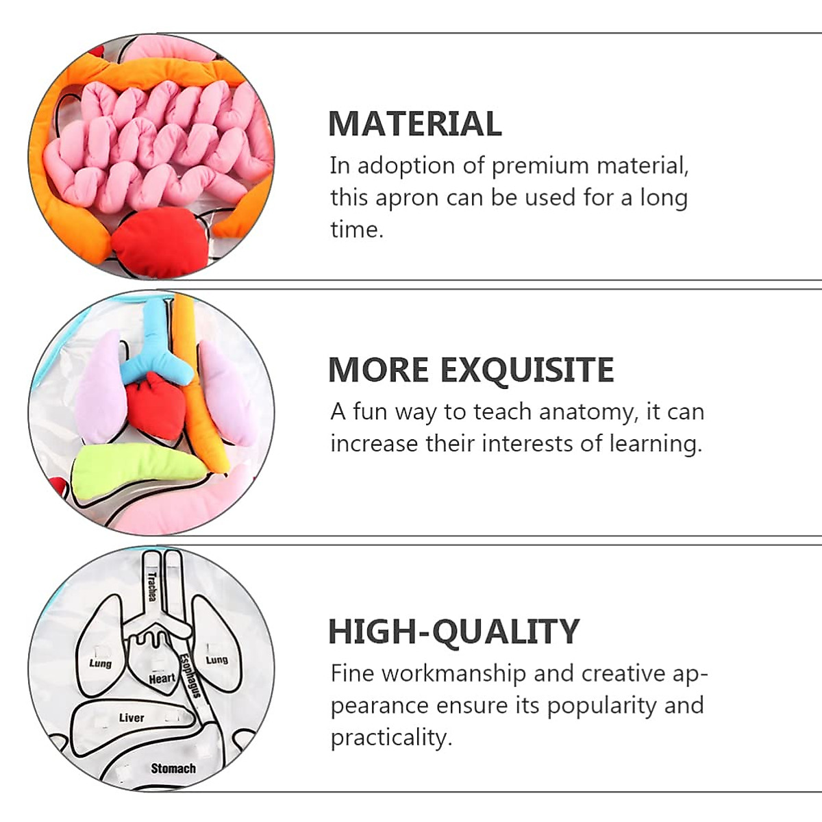 Mikikit 3D Organ Apron Organ Apron: 1 Set Versatile Apron Kindergarten Teaching Anatomy Apron Human Body Organs Awareness Educational Toy Human Internal Organs Teaching Equipment