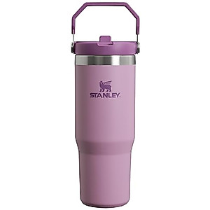 Stanley IceFlow Flip Straw Tumbler with Handle 30 oz | Twist On Lid and Flip Up Straw | Leak Resistant Water Bottle | Insulated Stainless Steel |BPA-Free | Lilac