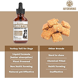 Turkey Tail Mushroom for Dogs | Helps to Boost the Immune System, is a Healthy Prebiotic, & Much More | Turkey Tail for Dogs | Mushrooms for Dogs | Dog Mushroom Supplements | 1 fl oz