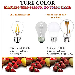 LiteHistory E26 Edison Bulb 6W=60 watt Light Bulb Dimmable Daylight 5000K Edison Light Bulb 60 Watt AC120V A15 led Bulb for Ceiling Fan,Vanity,Refrigerator,Wall scones 600lm E26 Light Bulb 6Pack