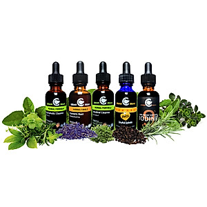 Cedar Bear Kidney Kool for Kids - Liquid Herbal Supplement That Soothes, and Supports Urinary System 1 fl oz / 30 ml