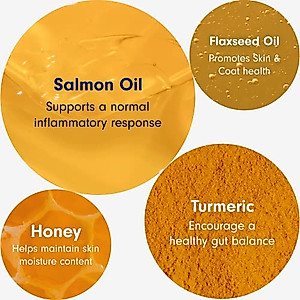 PetLab Co. Itch Relief Chews - Support for Dry, Occasionally Itchy Skin & Coats - Formulated with Turmeric, Omega 3 & 6, Honey - Packaging May Vary