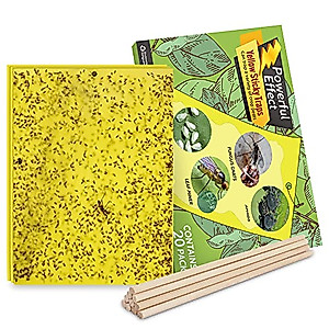 Kensizer 20-Pack Fruit Fly Trap, Yellow Sticky Gnat Traps Killer for Indoor/Outdoor Flying Plant Insect Like Fungus Gnats, Whiteflies, Aphids, Leaf Miners - 6x8 in, Twist Ties Included