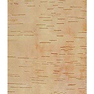 BHOJPATRA for Pooja / Puja Bhojpatra Sheets Bhojpatra for Mantra Writing (Big Size, Pack of 2) EQSBB150722002 Brown