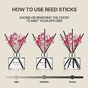 COCODOR Preserved Real Flower Reed Diffuser/April Breeze / 6.7oz(200ml) / 1 Pack/Reed Diffuser Set, Oil Diffuser & Reed Diffuser Sticks, Home Decor & Office Decor, Fragrance and Gifts
