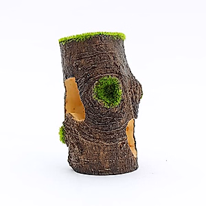 Penn-Plax Aqua-Flora Aquarium Living Resin Decoration with Embedded Glosso Plant Seeds – Tree Base – Safe and Healthy for Freshwater Fish