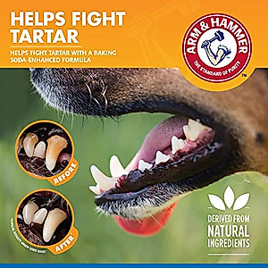 Arm & Hammer for Pets Dental Water Additive for Dogs, Tartar Control | Dog Dental Care Reduces Plaque & Tartar Buildup Without Brushing | 16 Fl Oz (Pack of 1), Odorless and Flavorless