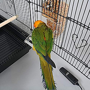 Automatic Bird Seed Feeder with Perch, Free Install Acrylic Transparent Parrot Foraging Feeders Cage Accessories for Small and Medium Parrots Parakeets Cockatiels Lovebirds Sun Conures Caique Finches