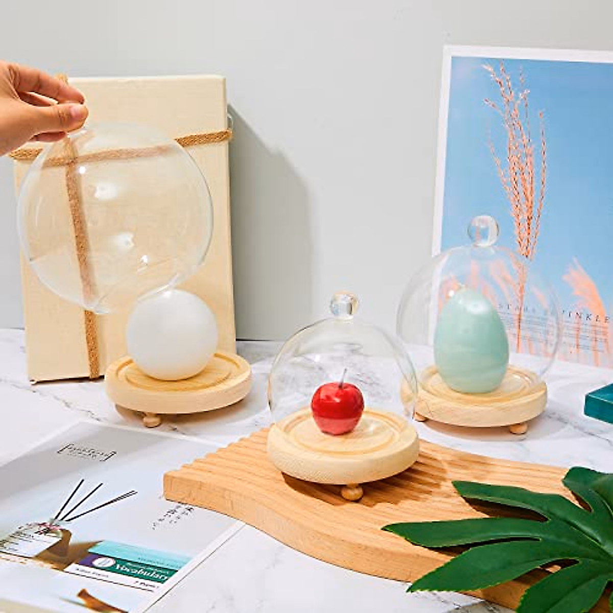 3 Pieces Cloche Glass Dome Glass Cloche Globe Display Dome 3 Sizes Glass Ball Shape Dome Cake Stand with Dome Clear Ball Display Pedestals with Dome Glass Dome Centerpiece for Candle Decor Plant Food