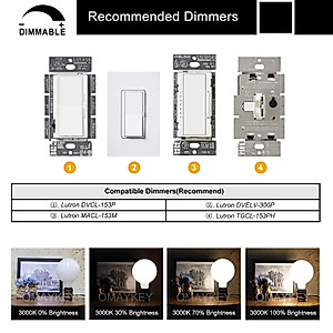 OMAYKEY 15W Dimmable Large LED Globe Bulb 100W Equivalent 1000 Lumens, 3000K Soft White E26 Medium Base, Vintage Edison G125 Large Globe Edison Style LED Filament Light Bulb, Deep Dimming Version
