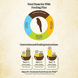 Kaytee Food from The Wild Natural Pet Conure Bird Food, 2.5 Pound