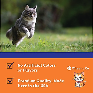 Oliver & Co. Cat Constipation Relief - Cat Laxative - Cat Constipation - Constipation Relief for Cats -Constipation Relief for Cat - Cat Laxative Constipation Relief - 1 fl oz - Roast Chicken Flavor