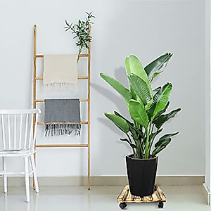 Plant stand with wheels-Rolling Plant Stand- Plant Caddy Wooden Stand wheel 1 Packs Heavy Potted Planter Stand 14 Inch Potted Plant Stand with Wheels,Outdoor Plant Stand Solid Plant Caddy (14inch)