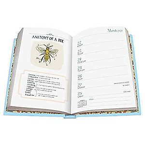 Julia Rothman: Farm, Food, Nature Engagement Calendar 2021