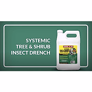 Compare-N-Save Systemic Tree and Shrub Insect Drench - 75333, 1 Gallon