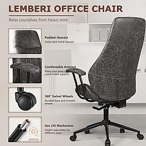VITESSE Ergonomic Home Office Desk Chair Modern Leather Computer Chairs, High Back Lumbar Support Suede Fabric Executive Height Adjustable Rolling Swivel Task Chair with Padded Armrest (Dark Grey)