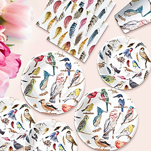 Xigejob Bird Party Tableware Decorations - Bird Plates And Napkins Party Supplies, Plate, Cup, Napkin, Colorful Bird Bridal Baby Shower Birthday Wedding Spring Summer Tea Party Dinnerware | Serve 24