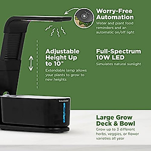 AeroGarden Sprout with Gourmet Herbs Seed Pod Kit - Hydroponic Indoor Garden, White