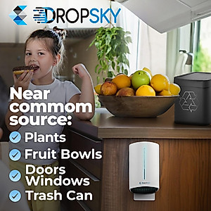 Dropsky Indoor Flying Insect Trap - Plug-in Bug Light Trap for Fruit Flies, Gnats and Houseflies - Odorless and Mess Free (2 Traps + 2 Glue Cards)