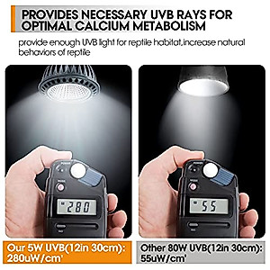GeeKoit Premium High-Intensity UVB Reptile Light for Optimal Calcium Metabolism,5-Watt 10.0 Desert UVB Light Ideal for Desert-Dwelling Reptiles Bearded Dragons Tortoises (Desert 10.0 UVB)