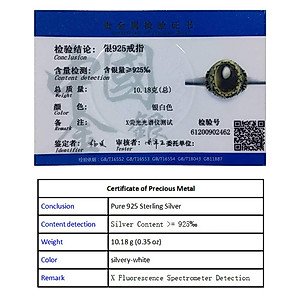 Qida Natural Agate Men's Ring S925 Pure Silver Black Agate Stone Ring Vintage Castle Men's Ring Gothic Unique Bracelet (Size9)