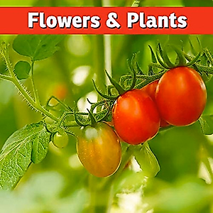 I Must Garden Squirrel Repellent [2 Pack] - Protects Vehicles, Plants, Decking, Furniture - 32oz Ready to Use