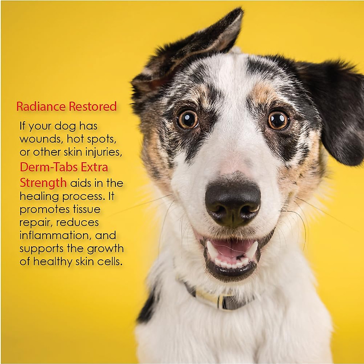 Derm Tabs Regular Strength for Dogs - Natural Oil, Vitamins, Minerals, and Antioxidants - Support Healthy Skin and Reduce Shedding - 120 Chewable Tablets