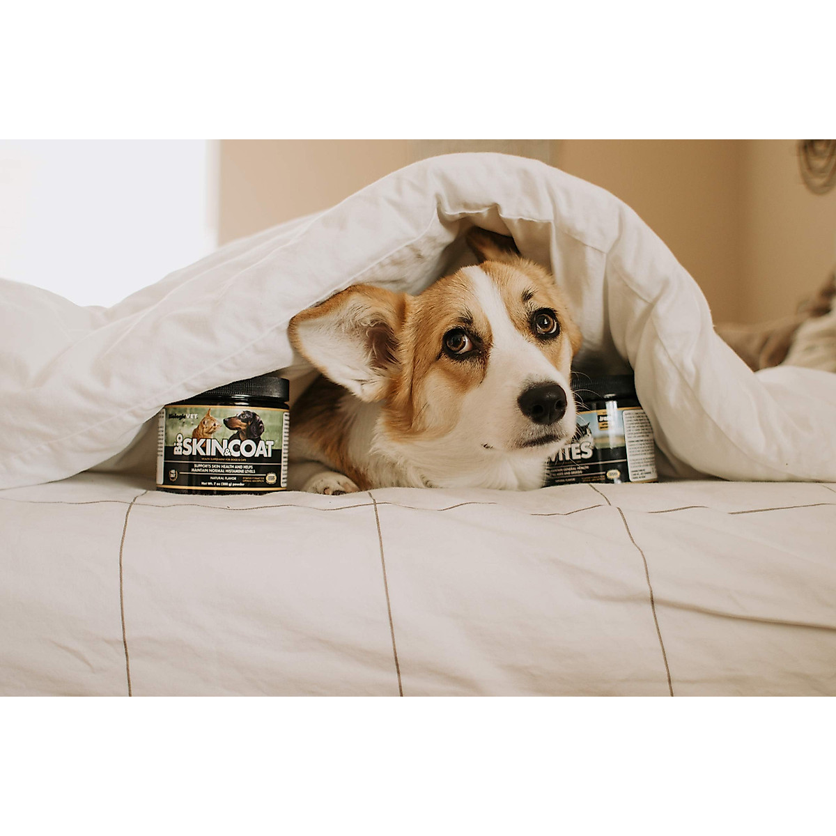 BiologicVET - BioSKIN & Coat Natural Antihistamine Supplement for Dogs & Cats, Supports Skin Health and Helps Maintain Normal Histamine Levels, 53-Day Supply for 30-lb. Animal, 14-oz. Powder