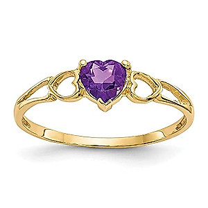 IceCarats 14K Yellow Gold Purple Amethyst Heart Ring Love Band February Birthstone Jewelry Size 7.00