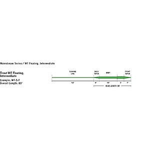 RIO Products Fly Line Mainstream Aqualux Intermediumiate Wf4I, Clear