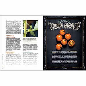 Epic Tomatoes: How to Select and Grow the Best Varieties of All Time