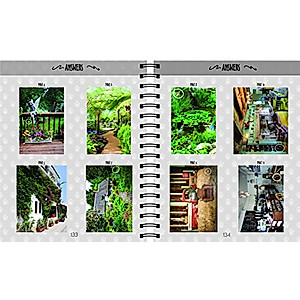 Brain Games - Find the Cat: Track Down Cute Cats and Adorable Kittens in 129 Pictures (Volume 1) (Brain Games - Picture Puzzles)