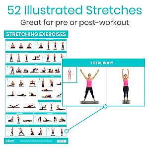 Vive Yoga Poses + Stretching Exercises + Resistance Band Workouts Poster for Home Gym (3 Pack) - 149 Illustrations for Flexibility, Strength, Core, Exercising, Pilates Mat - Work Chart Set, Laminated 30" x 17"