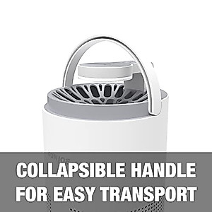 Sun Joe SJ-BZ15W-WHT UV Indoor Insect Fruit Fly Trap for Small Flying Insects, Non-Toxic UV Light, Non-Zapper, Bug Light w/10-Sticky Glue Traps Included, White