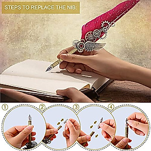 NC Feather Calligraphy Set, Quill Pen Ink Set Includes 5 Bottles of Ink and 6 Replaceable Stainless Steel Nibs, Calligraphy Pen for Writing, Writing Letters, Signing Invitations Etc (Red)