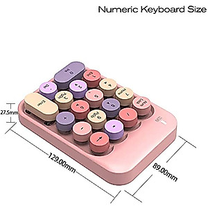 FELICON Wireless Numeric Keypad 18 Keys with 2.4G Mini Portable Silent Number Pad USB Receiver Financial Accounting Keyboard Extensions for Laptop Desktop PC Pro（Pink Mix）