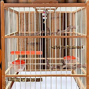 Natural Wood Bird Perch Hanging Branch for Parrot Climbing Training Perch Stand Platform Toy Cage Accessories for Small Parakeets, Cockatiels, Conures (7PCS)