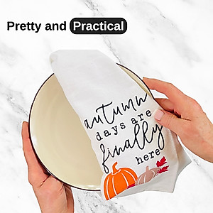 Serafina Home Farmhouse Kitchen Dish Towels: Autumn Days are Finally Here, Enjoy! Pumpkin Theme (Design 4)