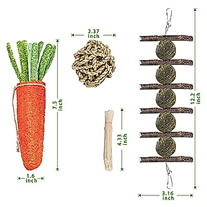 GANBRIPS 4 Pack Rabbit Chew Toys for Teeth, Bunny Chew Treats, 100% Natural Apple Wood Sticks Timothy Hay Balls Loofah Carrot Sweet Bamboo Toys for Bunnies/Chinchillas/Guinea Pigs/Hamsters