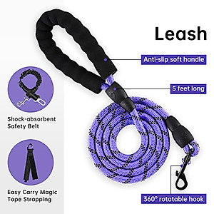 IVY&LANE No Pull Dog Harness for Small Dogs, Dog Vest Harness with Leash, Safety Belt and Storage Strap, Fully Adjustable Harness, 360° Reflective Strip, Soft Handle (Purple, S)