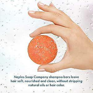 Naples Soap Company Solid Shampoo Bar for All Hair Types – Eco-Friendly, Free of Parabens, Alcohol, Pthalates – Handmade, pH Balanced, Hydrating Haircare, Lasts 50-75 Uses – Florida Fresh, 1.75 oz