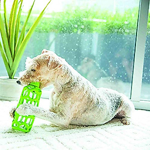 JW Pet Hol-ee Bottle Dog Chew Puzzle Toy, Medium