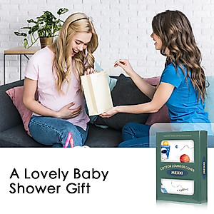 Infant Lounger Baby Nest Replacement Cover | Hypoallergenic | Premium | [Fits Dockatot Deluxe+] (Cover Only) (Driver Dinos)