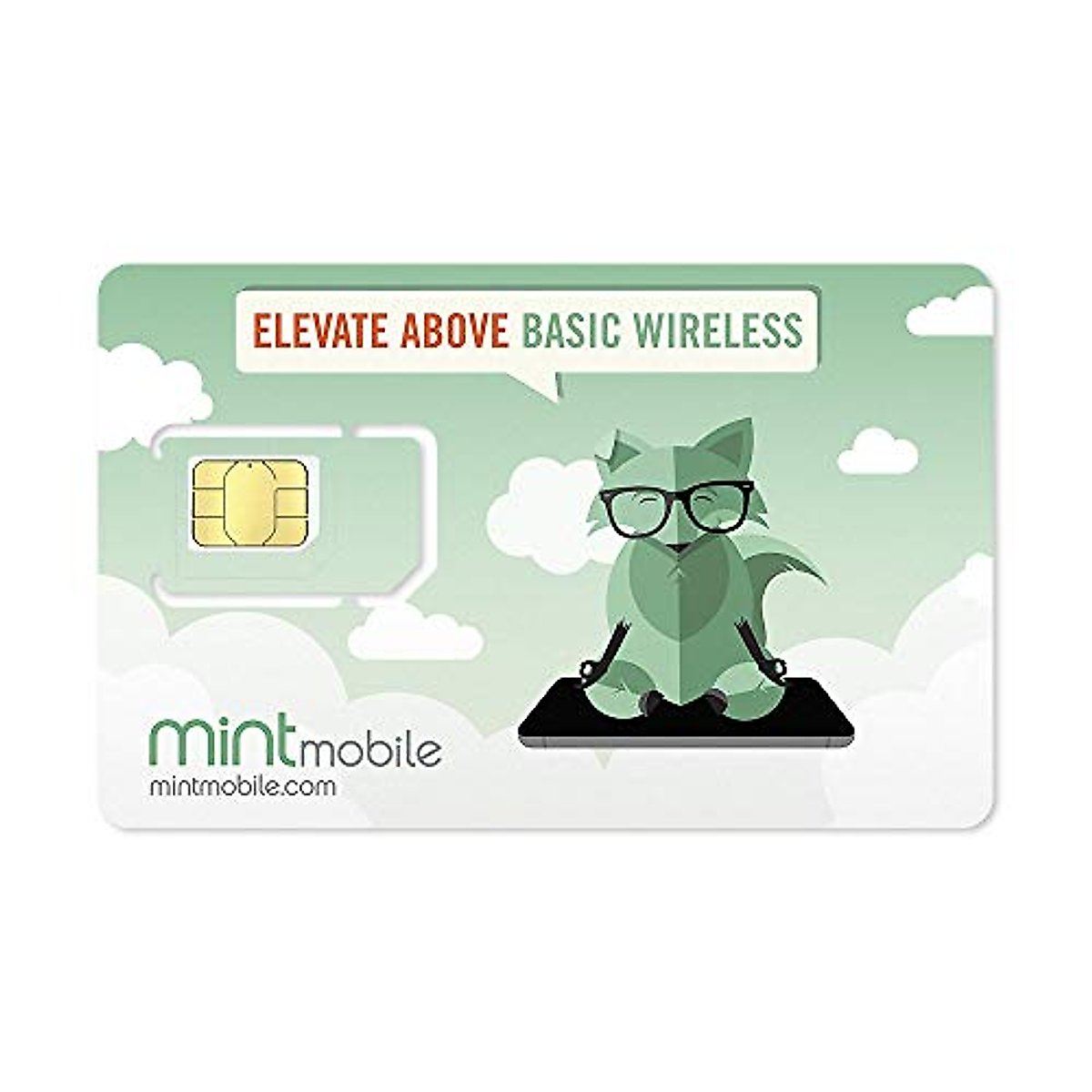 Mint Mobile See for Yourself Kit | Verify Compatibility with Our Talk, Text & Data Plans (3-in-1 GSM SIM Card)