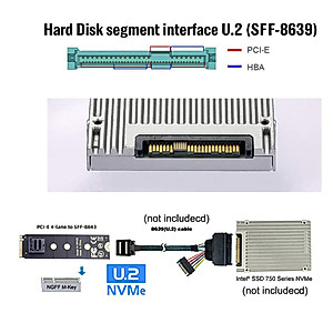 xiwai 22x80mm U.2 Kit SFF-8639 NVME PCIe4.0 SSD Adapter for Mainboard SSD 750 p3600 p3700 M.2 SFF-8643 Mini SAS HD