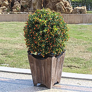 ECOLVANT Two 20''T Artificial Boxwood Topiary Ball Tree UV Resistant Potted Plants Artificial Flower Buds Tree for Indoor Outdoor Home Garden (Orange Flowers, 2)